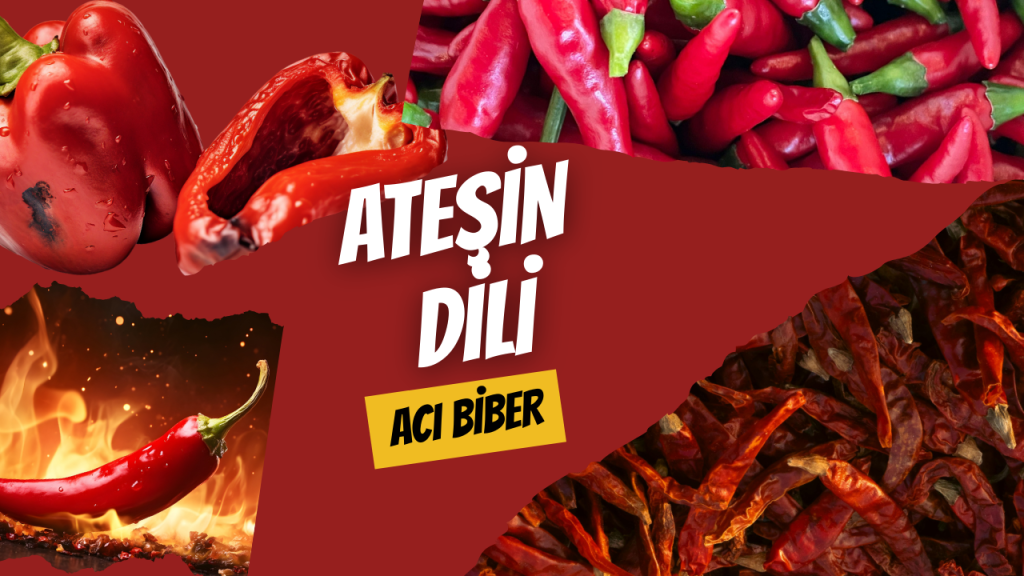 Ateşin Dili: Acı Biber - Vaktinde Ye